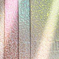 China Dynamic Color Shifting Hammertone Powder Coating for Transformative Designs for sale