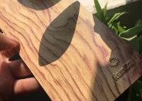 China Wood Grain Styles Polyester Powder Coating Paint For Aluminum Profiles for sale