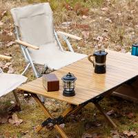China Aluminum Folding Camping Table 120x60cm 4.5kg 30kg Capacity for sale
