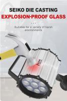 China Explosion Proof Gooseneck Work Lamp Waterproof LED Machine Work Light Long Arm 24V 110V 220V for sale