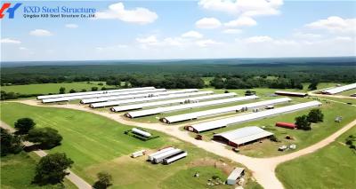 China Broiler Poultry Prefab Houses Steel Structure Fully Automated Chicken Farming Equipment for sale