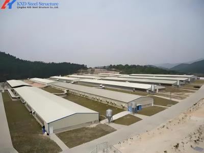 China Prefab Steel Structure Chicken Building Shed Broiler Fatten Poultry Farm House for sale