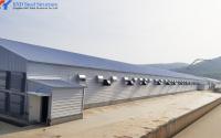 China Prefab Steel Structure Chicken Building Shed Broiler Fatten Poultry Farm House for sale