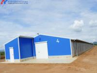 China Light Steel Structure Egg Chicken Farm , Prefabricated Steel Chicken Farm for sale