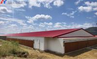 China Double Light Steel Structure Chicken House With Fully Automatic Equipment for sale