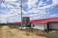 China Broiler Poultry Farming Equipment H Type Galvanized Automatic Battery Chicken Cages for sale