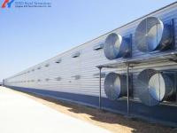 China Double Light Steel Structure Chicken House With Fully Automatic Equipment for sale