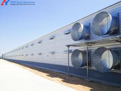 China Modern Poultry Farm Chicken Farm Steel Structure Building Light Steel Structure Poultry House for sale