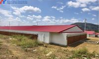 China Modern Poultry Farm Chicken Farm Steel Structure Building Light Steel Structure Poultry House for sale