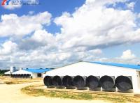 China Automatic Steel Poultry House Prefab Broiler Chicken Houses Steel Structure for sale