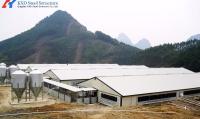 China Easy Clean Steel Poultry House Layer Hen House Steel Structure Chicken Broiler Shed for sale