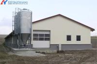 China Easy Clean Steel Poultry House Layer Hen House Steel Structure Chicken Broiler Shed for sale
