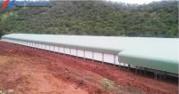 China Prefabricated Light Weight Steel Structure Chicken House Shed ISO9001 CE Certification for sale