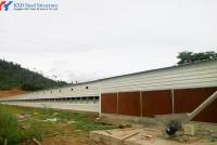 China Fully Automatic Galvanized Poultry Farm Equipment with Customizable Layer Cage for Poultry House for sale