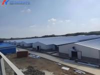China Fully Automatic Galvanized Poultry Farm Equipment with Customizable Layer Cage for Poultry House for sale