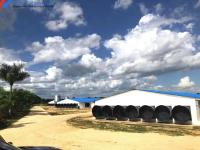 China Fully Automatic Galvanized Poultry Farm Equipment with Customizable Layer Cage for Poultry House for sale