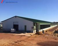 China Steel Structure Poultry House with Cage Feeding System for Layers & Broilers for sale