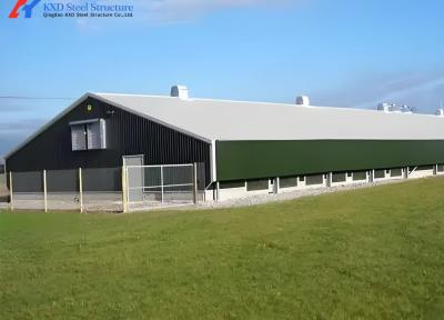 China Poultry Farming Chicken House Design Steel Structure Chicken Shed Automatic Poultry Farming System for sale