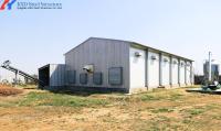 China Steel Structure Chicken House Feeding System for Broiler Chicken Shed for sale