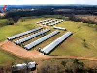 China Commercial Poultry House Steel Structure Chicken Farm House for sale