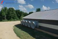 China Automatic Poultry Farming Equipment Broiler Chicken Cage Manufacturer for sale