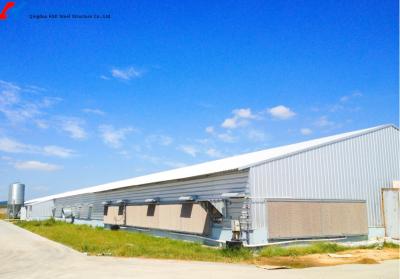 China Farming Animal Husbandry Greenhouse Chicken Greenhouse Poultry Breeding Greenhouse For Chicken for sale