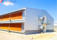 China Large Poultry Farm Building Structure Customized Steel Chicken Shed for sale