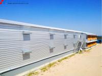 China Large Poultry Farm Building Structure Customized Steel Chicken Shed for sale