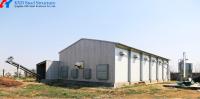 China Large Poultry Farm Building Structure Customized Steel Chicken Shed for sale