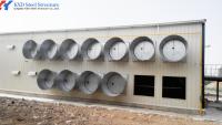 China Large Poultry Farm Building Structure Customized Steel Chicken Shed for sale