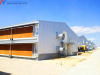 China Sreel Structure Poultry Shed with Automatic Equipment for Hens for sale