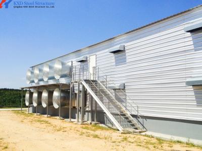 China Modern Modern Prefabricated Steel Structure Poultry House Customized for sale