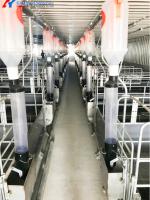 China Stainless Steel Piggery Farm Equipment Automatic Pig Feeder /  Double Pig Trough for sale