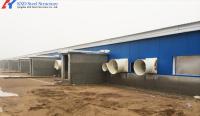 China Fast Build Steel Structure Poultry Shed Construction Customized for sale