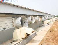 China Fast Build Steel Structure Poultry Shed Construction Customized for sale
