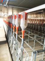 China Stainless Steel Piggery Farm Equipment Automatic Pig Feeder /  Double Pig Trough for sale