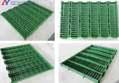 China Piggery Plastic Flooring , Poultry Plastic Slatted Floor For Pigs for sale