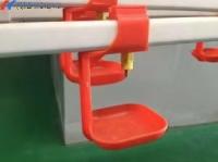 China Steel Structure Broiler Poultry Equipment , Poultry Automatic Feeding System for sale