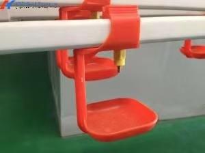 China Fully Automatic Poultry Drinker , Broiler Chicken Drinker Customized for sale