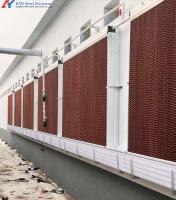 China Automatic Poultry House Equipment 3m/3pan 3m/4pan Chicken Coop Shed for sale