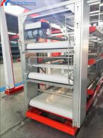 China Chicken Automatic Manure Cleaning System Of Poultry House Cage Feeding for sale