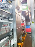 China Animal Feeding Chicken Layer Cages 8 Tiers 9 Tiers H Type Layer Hen Cage for sale