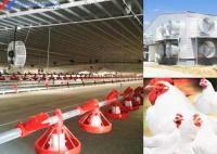 China Automatic Broiler Poultry Equipment Plastic Poultry Farm Feeding System for sale