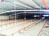 China Automatic Broiler Poultry Equipment Plastic Poultry Farm Feeding System for sale