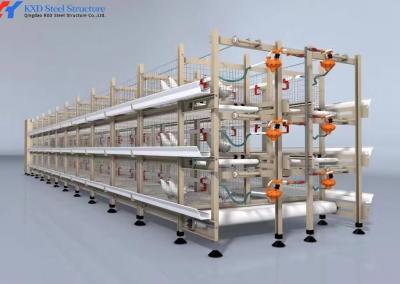 China A Type Galvanized Laying Hen Cages Automated Layer Poultry Cage for sale