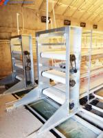 China A Type Galvanized Laying Hen Cages Automated Layer Poultry Cage for sale