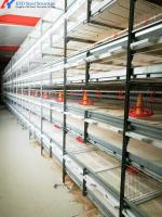 China Steel Automatic H Type Battery Cage For Chicken / Bird Poultry Farming for sale