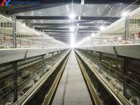 China Steel Automatic H Type Battery Cage For Chicken / Bird Poultry Farming for sale