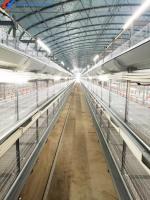 China Customized Broiler Chicken Shed A Type H Type Automatic Chicken House Equipment for sale