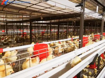 China Prefabricated Poultry Farm Building Steel Structure Chicken Broiler House for sale